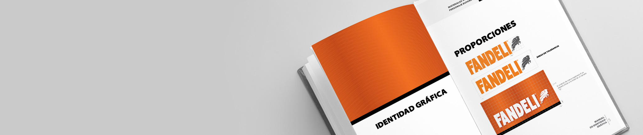 Identidad de marca - FANDELI Internacional