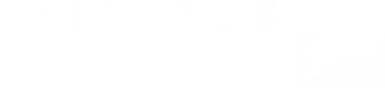 Distribuidor Fandeli - FANDELI México