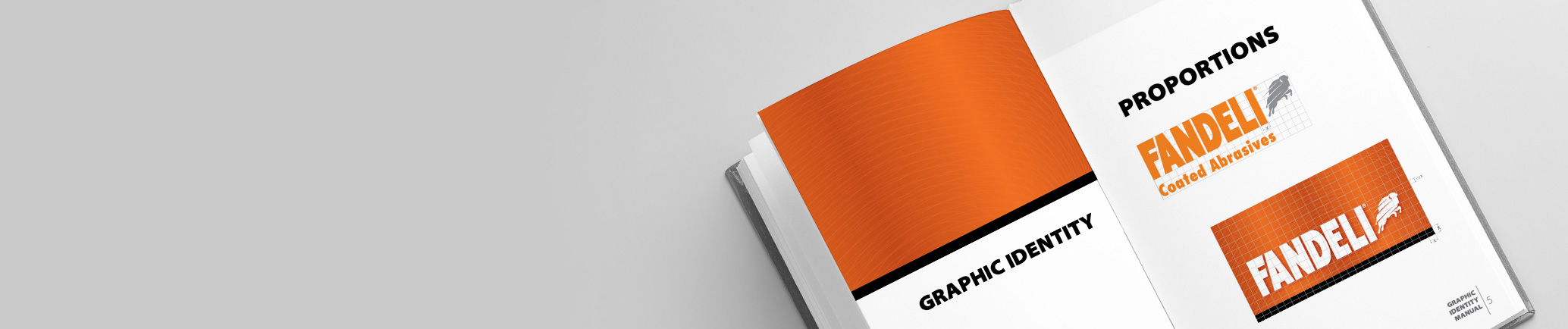 Brand identity - FANDELI México